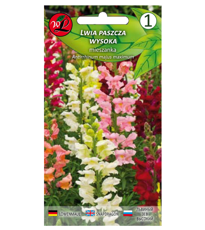 Flower seeds - SNAPDRAGON TALL -0.3G - Margaret Mayar